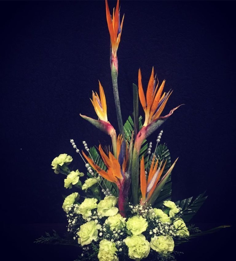 BOP & Carnations Arrangement | Flower Home Delivery Chennai